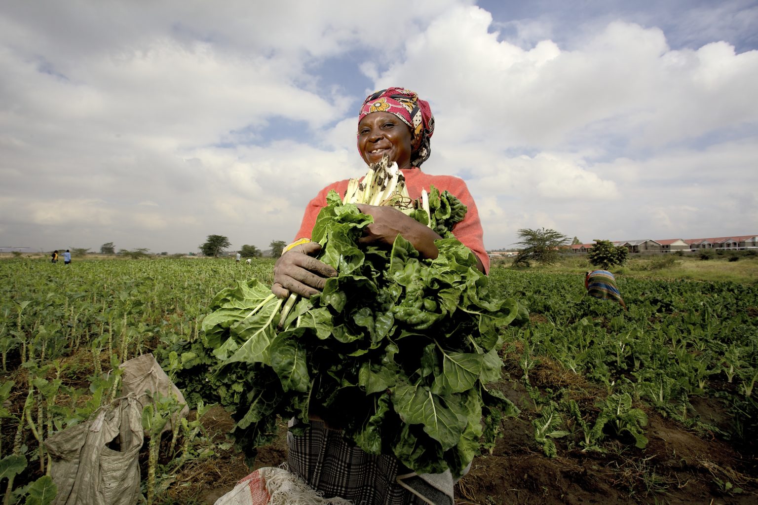 About Us | Regen Organics Kenya | Partners